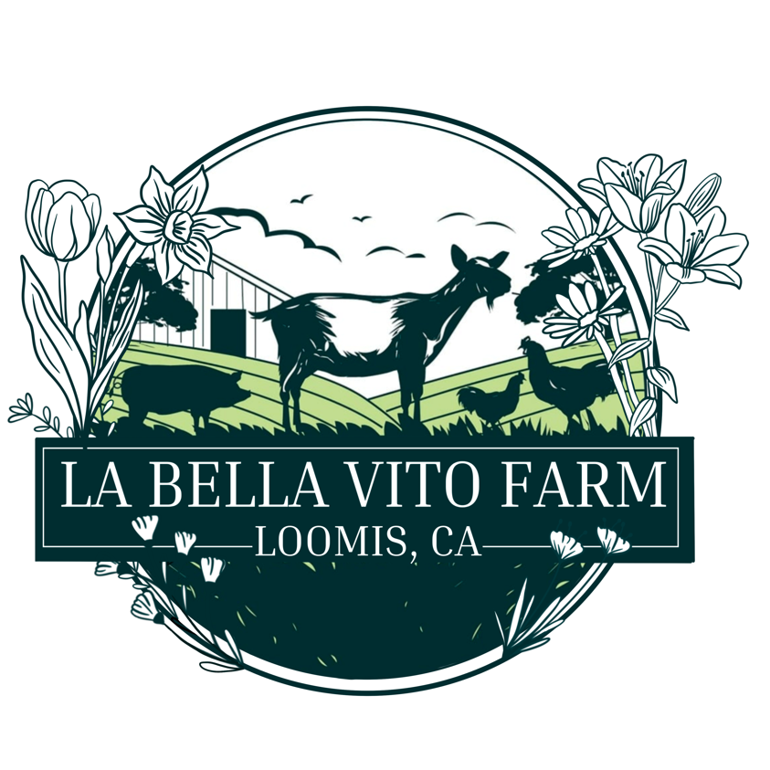 Farm & Barn Tour – PlacerGROWN